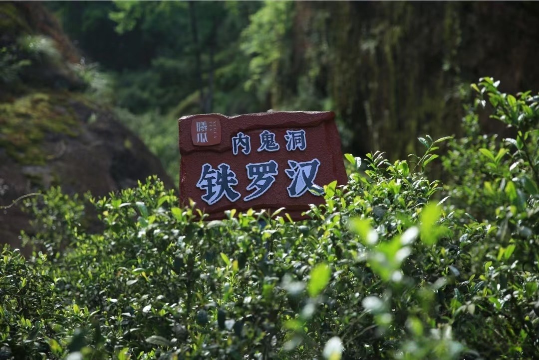 Те Лохань «Залізний Архат» Залізний архат | Улун ️ Купити Те Лохань ...